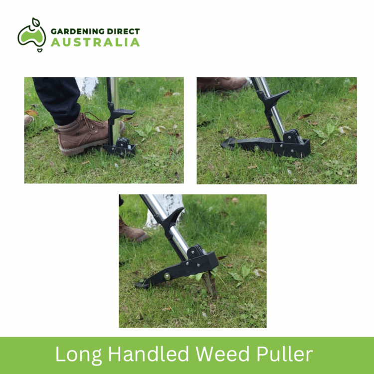 Long Handled Weed Puller Garden Tool AUS